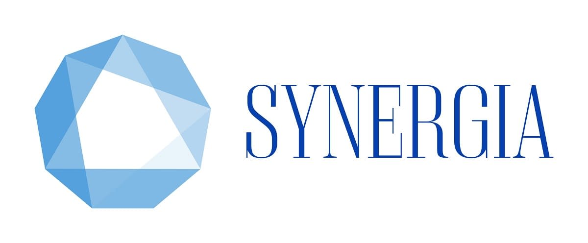 Equipo SYNERGIA | SYNERGIA MKT DIGITAL